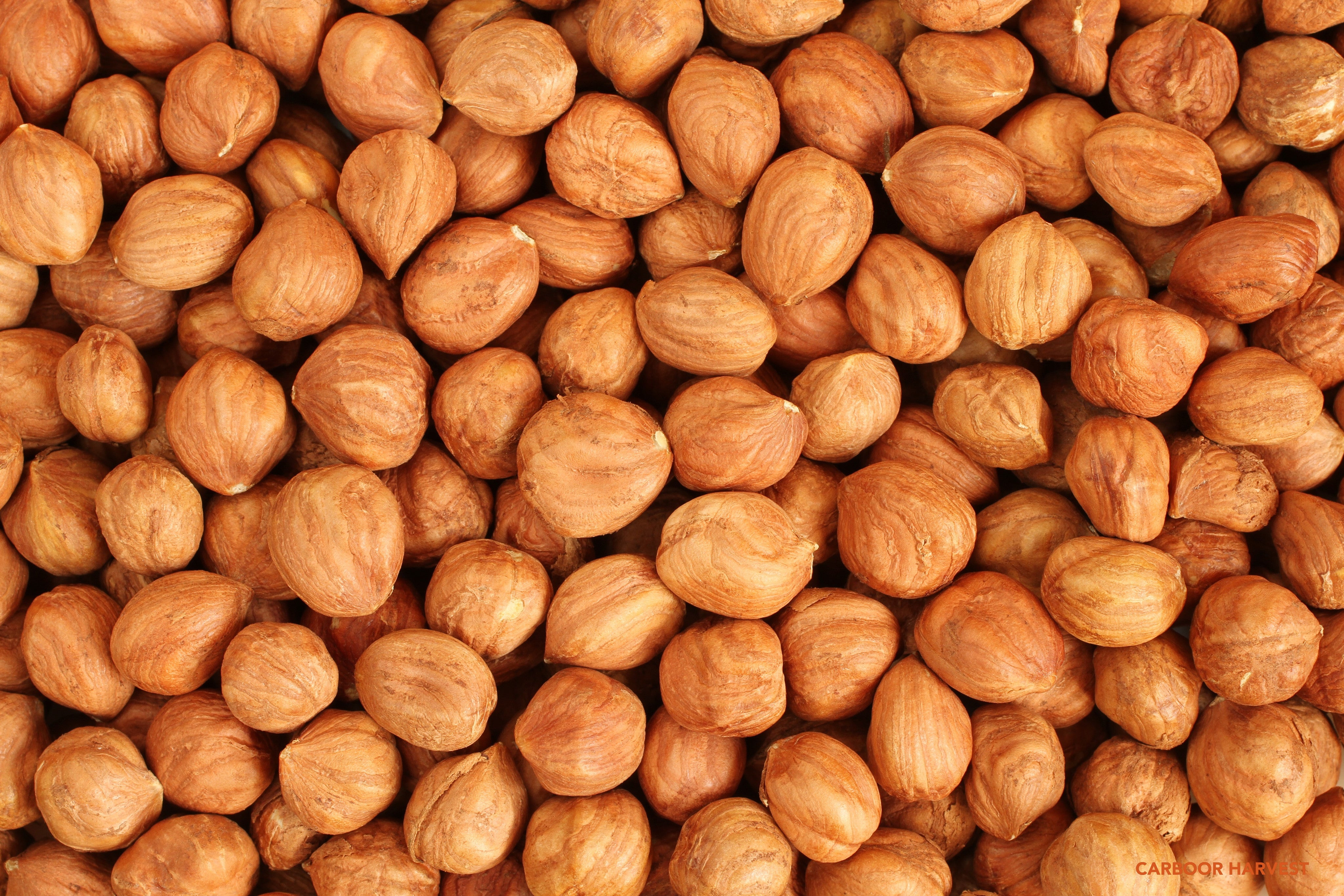 Shop for Bulk Nuts Online | Wholesale Australian Nuts – Carboor Harvest